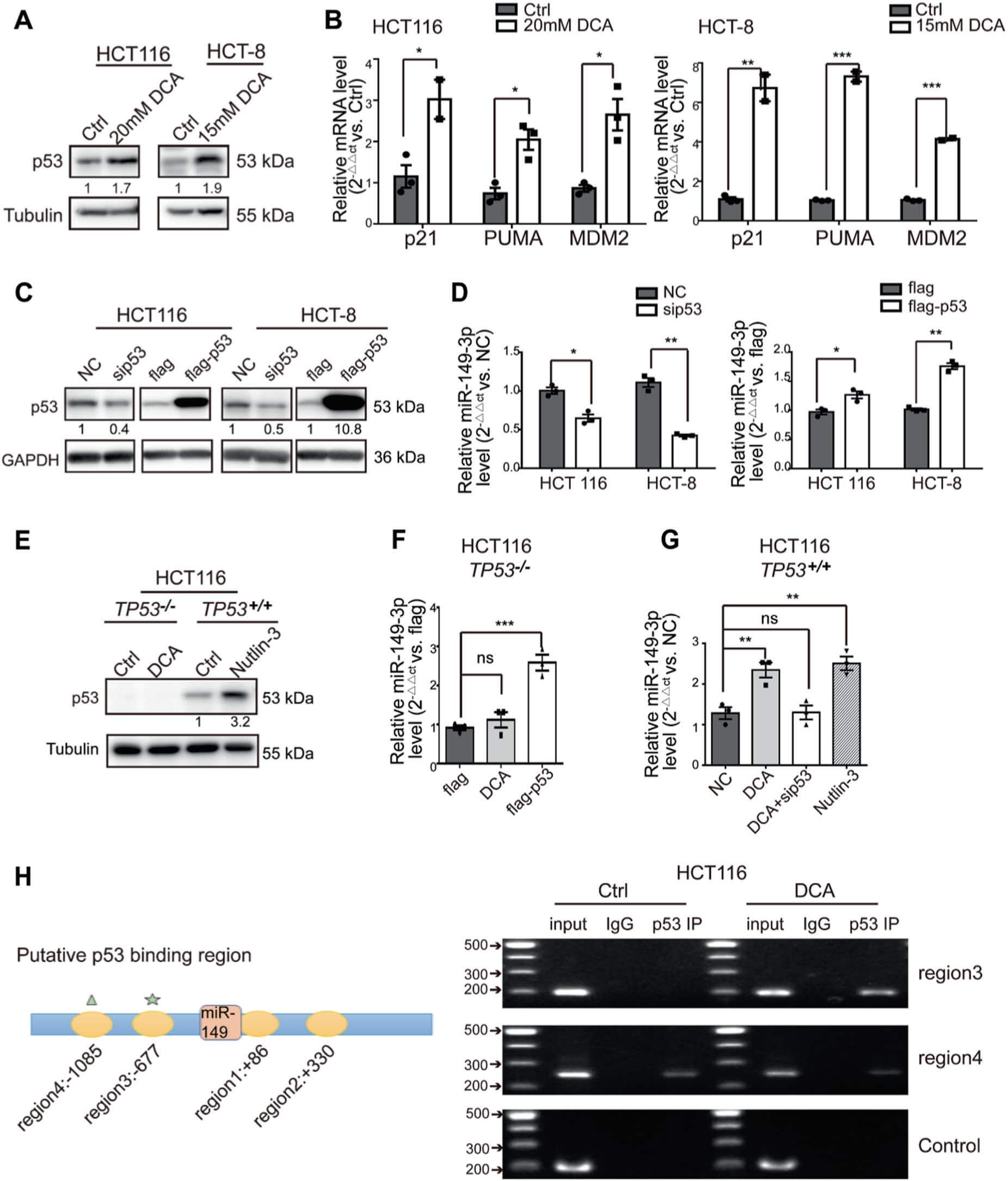 Dichloroacetate restores colorectal cancer chemosensitivity through the ...