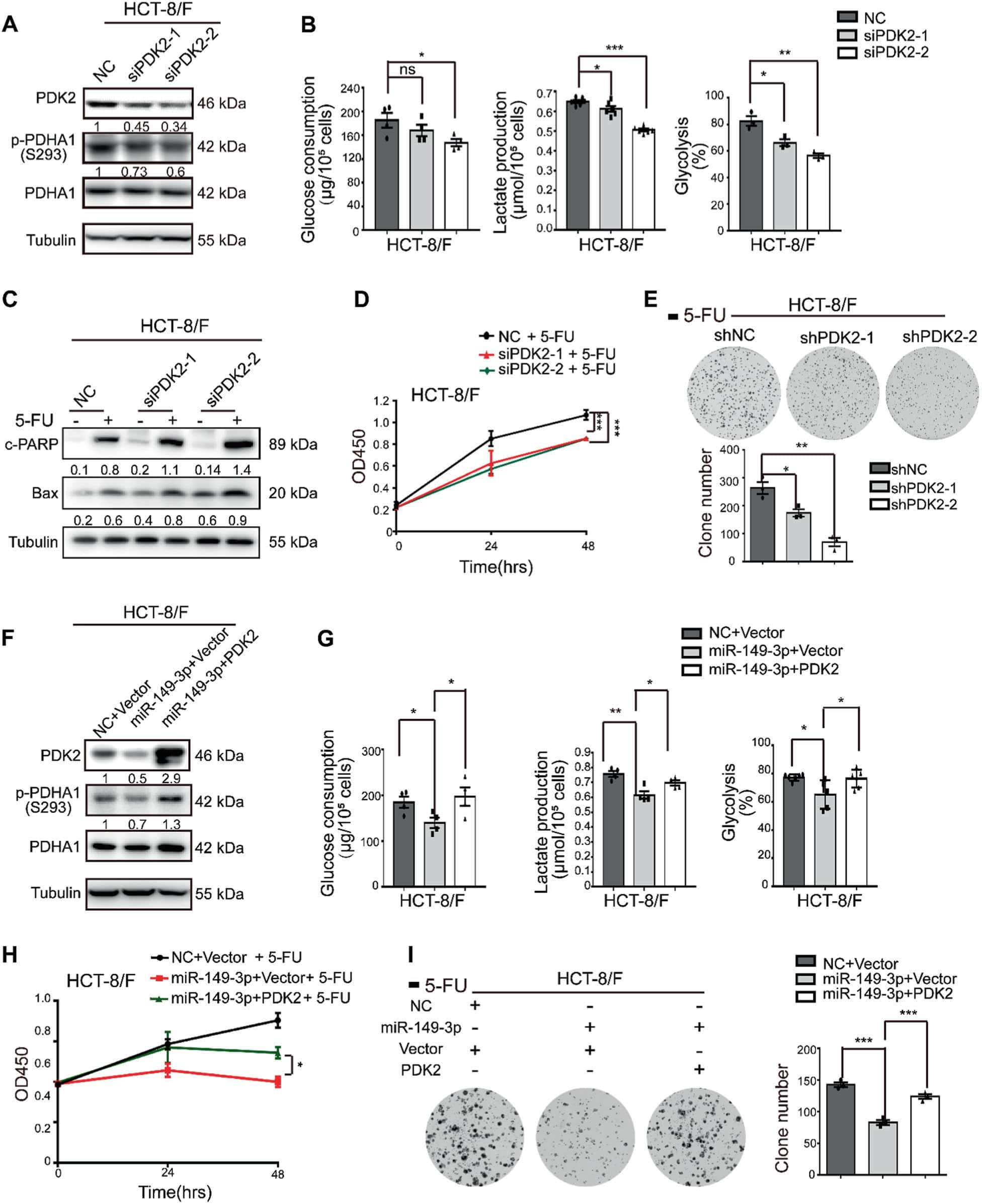 Dichloroacetate restores colorectal cancer chemosensitivity through the ...