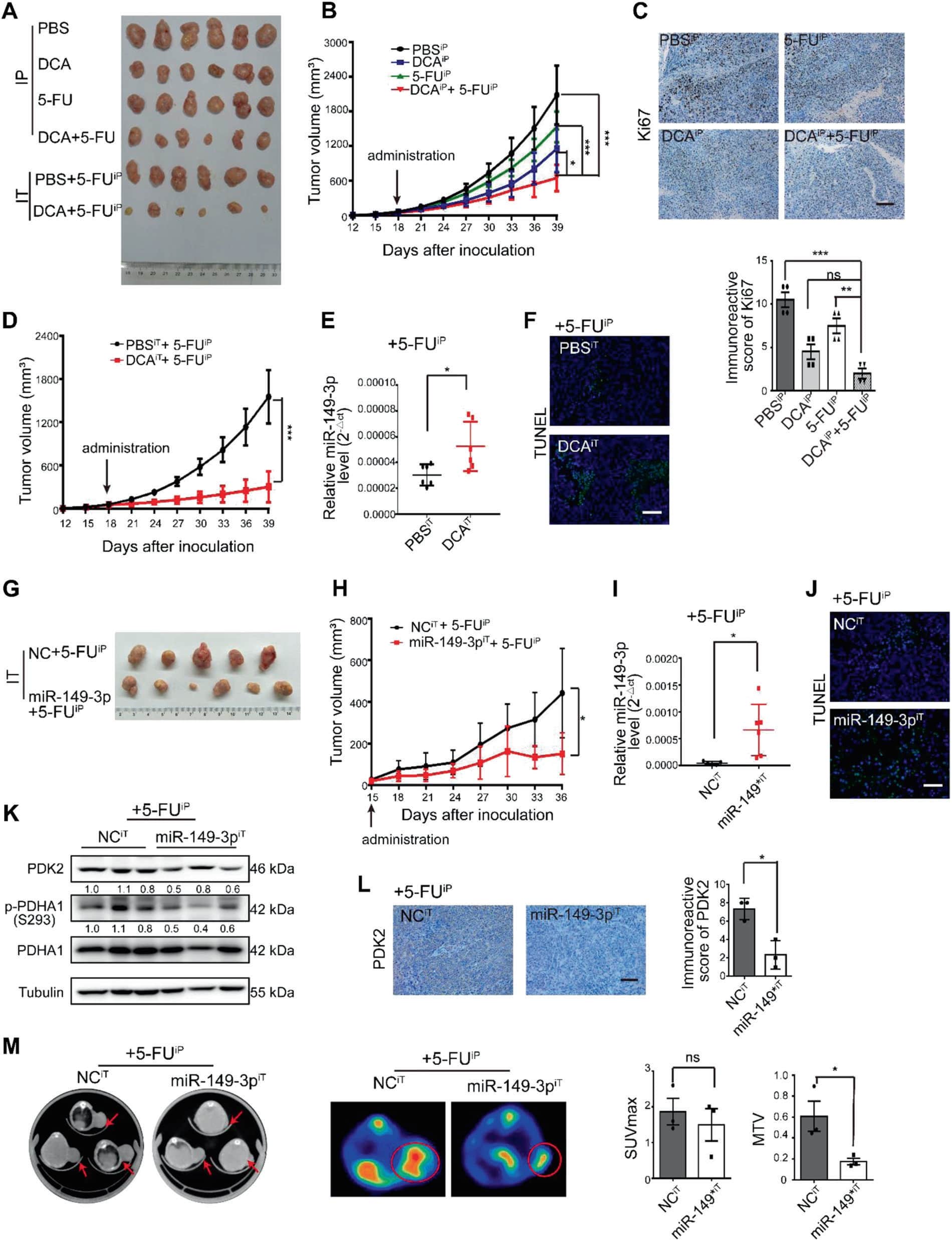 Dichloroacetate restores colorectal cancer chemosensitivity through the ...