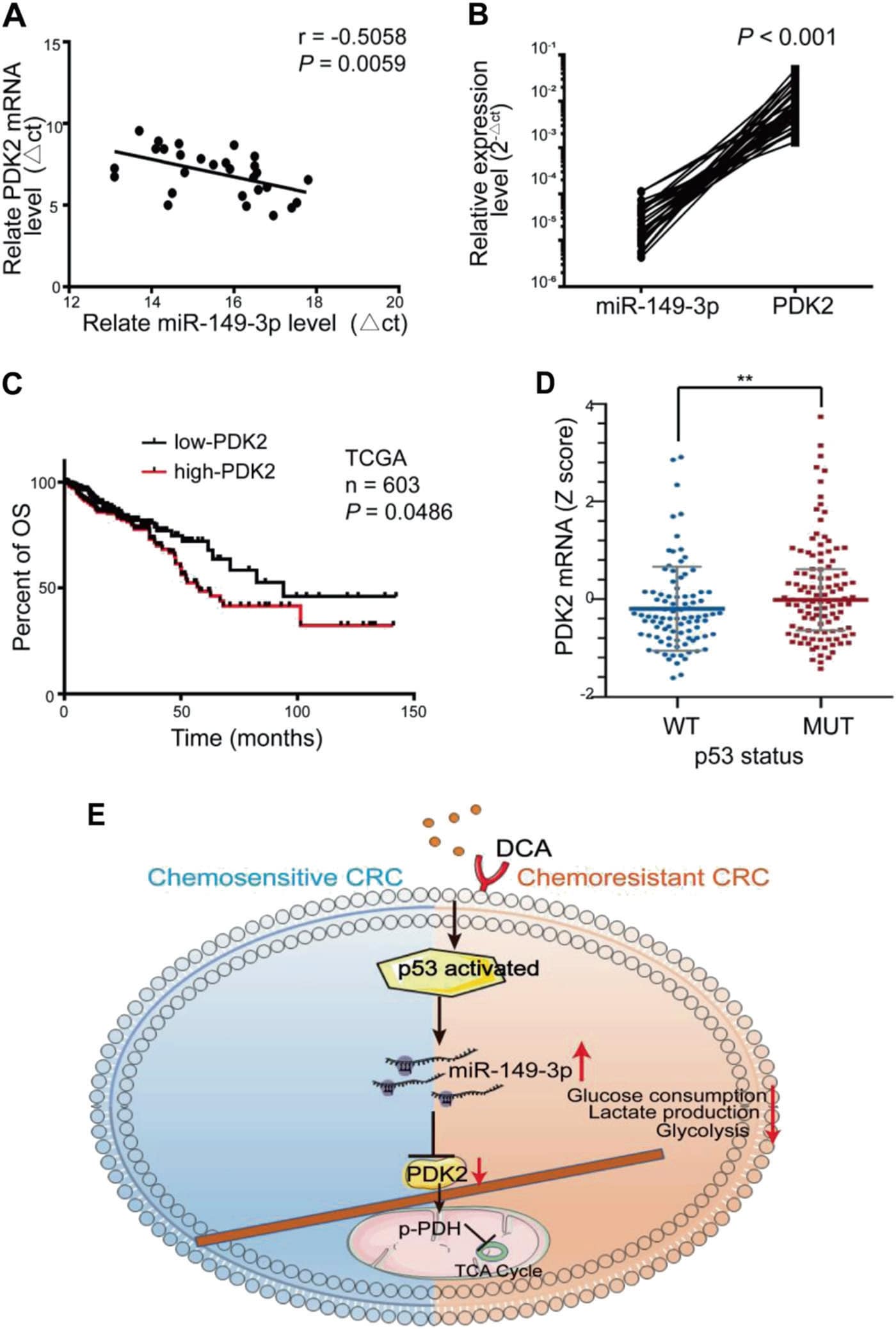 Dichloroacetate restores colorectal cancer chemosensitivity through the ...